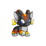 Neopets/Acara - WikiGuides Wiki - Neoseeker