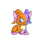 Neopets/Acara - WikiGuides Wiki - Neoseeker