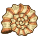 Neopets/Sea Shells II (Stamp Album) - WikiGuides Wiki - Neoseeker