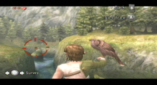 Hawk Grass - Zelda Wiki - Neoseeker