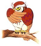 Kaepora Gaebora - Zelda Wiki - Neoseeker